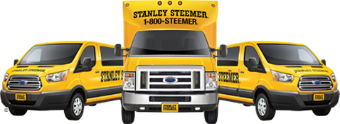 Home & Business Professional Floor Cleaning Services | Stanley Steemer